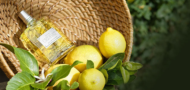 Natural ingredients | Cédrat | L'OCCITANE UK
