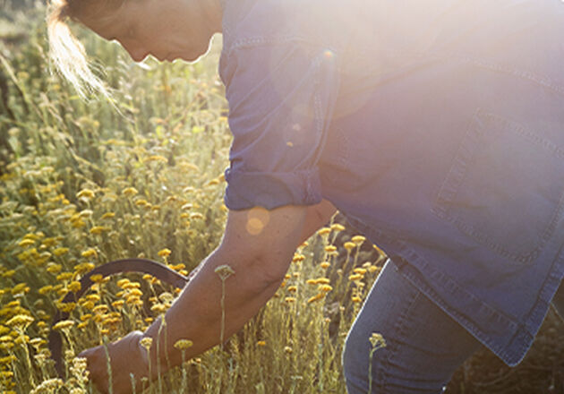 Research and Innovation | L'OCCITANE UK