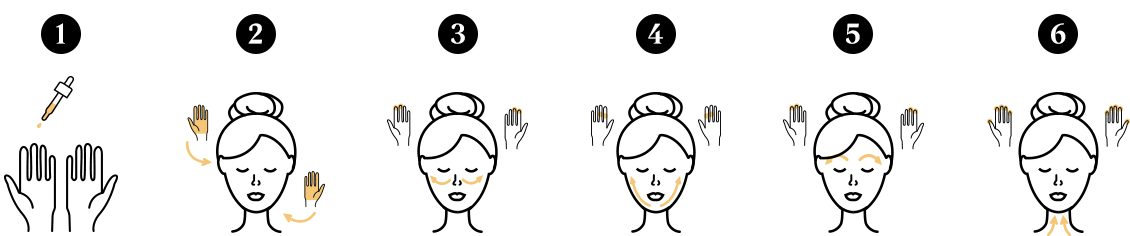 What are Facial Oils & How to Use Them? | L'OCCITANE UK