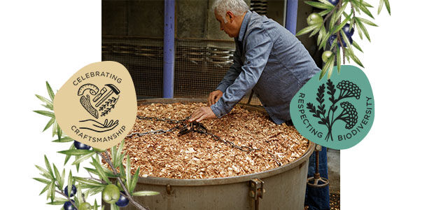 Cade Wood - Juniper Oil - Natural Ingredients | L'OCCITANE UK