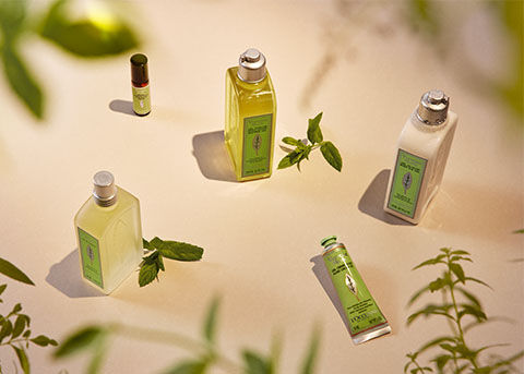 Classic Verbena Products | Verbena Care | L'OCCITANE UK