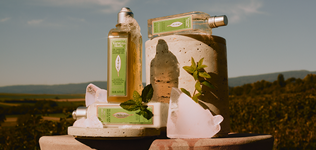 Mint Verbena Collection | Mint Skincare | L'OCCITANE UK
