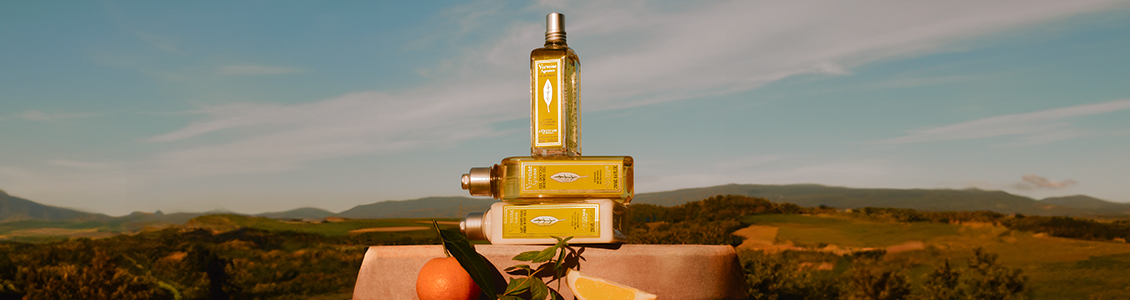 Citrus Verbena Collection | Lemon Verbena Perfume | L'OCCITANE UK