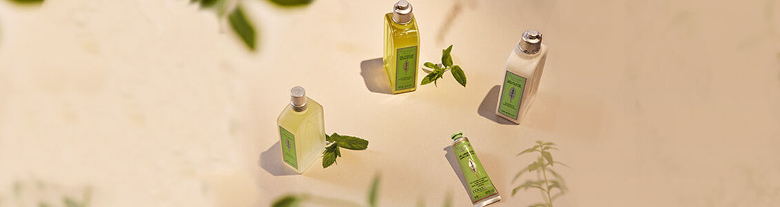 Mint Verbena Collection | Mint Skincare | L'OCCITANE UK