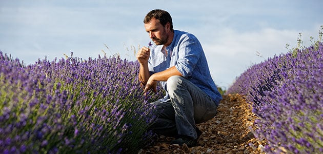 Meet Jerome Boenele, Lavender Producer | L'OCCITANE UK
