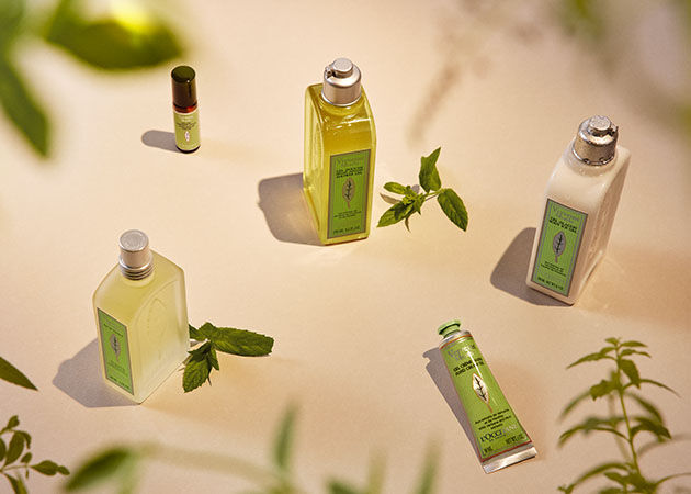 Classic Verbena Products | Verbena Care | L'OCCITANE UK