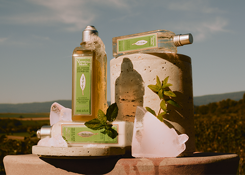 Classic Verbena Products | Verbena Care | L'OCCITANE UK