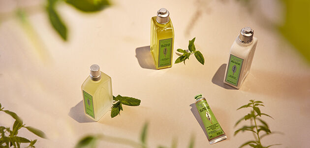 Mint Verbena Collection | Mint Skincare | L'OCCITANE UK