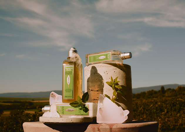 Citrus Verbena Collection | Lemon Verbena Perfume | L'OCCITANE UK