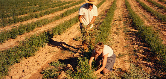 B Corp | L'OCCITANE UK