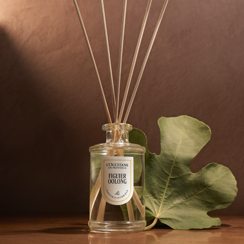 Fig Leaves and Oolong Home Diffuser Set | L'OCCITANE UK