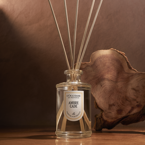 Amber Cade Home Diffuser Set 240ml | L'OCCITANE UK