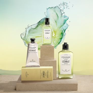 Cédrat Stick Deodorant - Alcohol-Free | L'Occitane