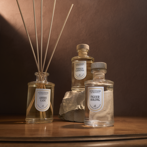 Amber Cade Home Diffuser Set 240ml | L'OCCITANE UK