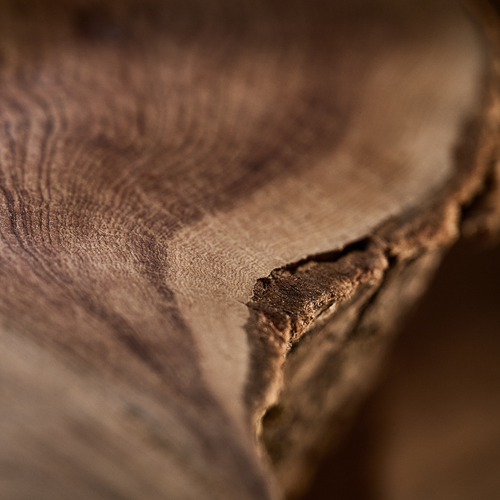 Amber Cade Home Diffuser Set 240ml | L'OCCITANE UK