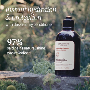 Intensive Repair Hair Care Duo | L'OCCITANE UK