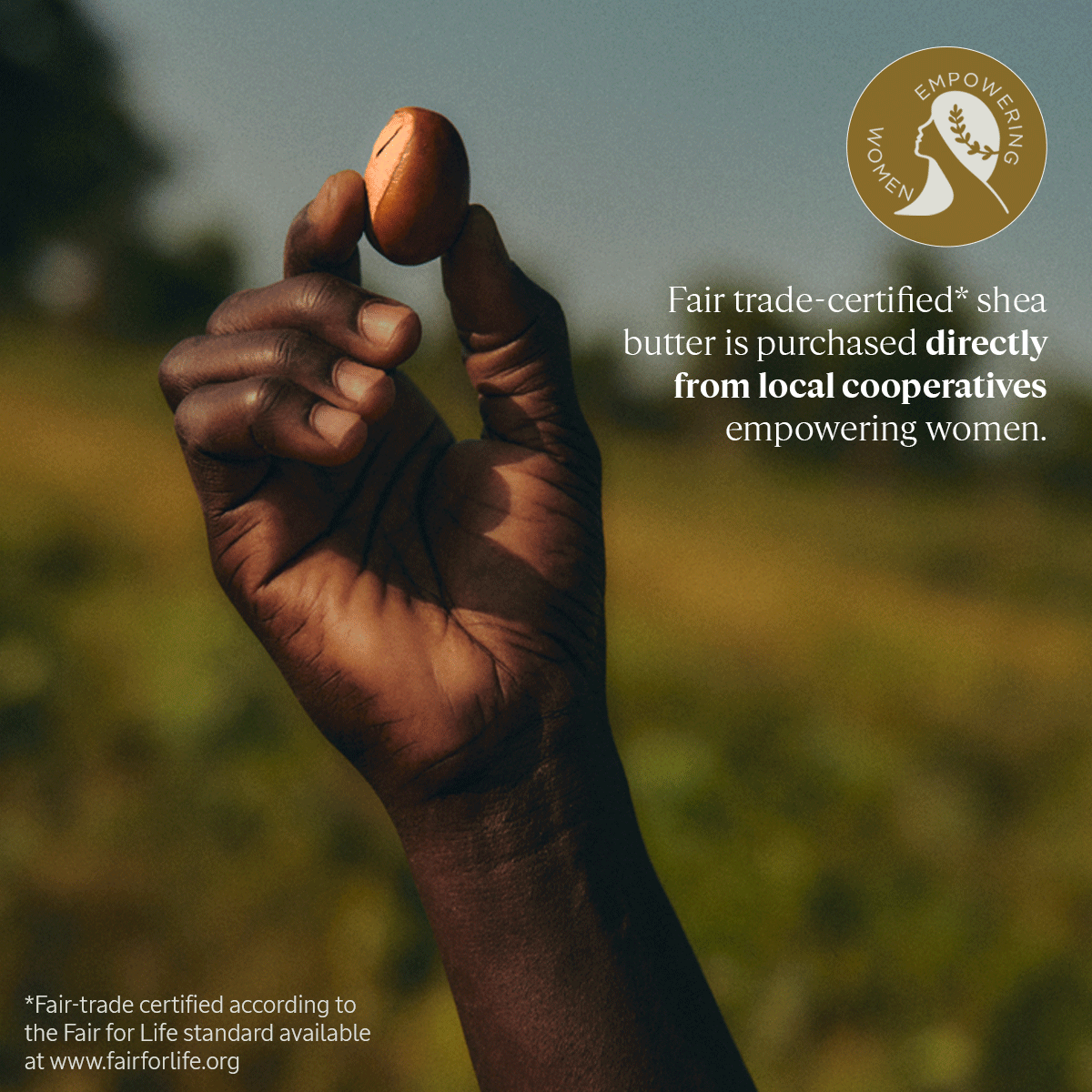 Organic & Sustainable Shea Butter Collection | L'OCCITANE UK